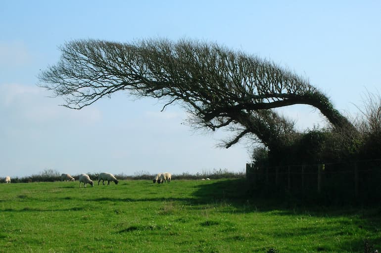 Cornish Tea Rooms: Celebrate Chocolate Week | Tin and Thyme