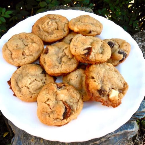 Chewy Apricot Cookies With White Chocolate Chips | Tin and Thyme