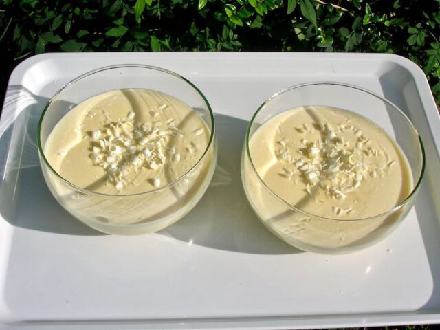 White Chocolate Yogurt Custard: So Smooth, So Creamy | Tin and Thyme