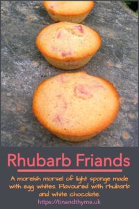 Rhubarb Friands With White Chocolate | Tin and Thyme