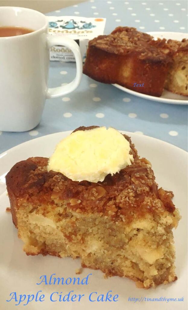 Almond Apple Cider Cake: Feeling Full in Falmouth | Tin and Thyme