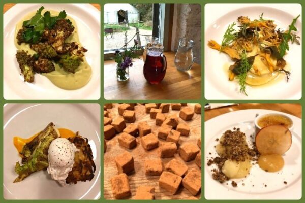 River Cottage Christmas: An Opportunity Not To Be Missed | Tin and Thyme