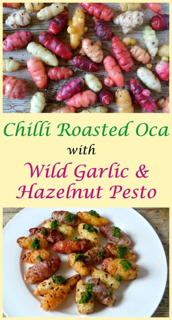 Chilli Roasted Oca With Hedgerow Pesto: Two Recipes for the Price Of ...