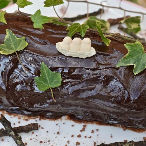 Chocolate Log + 10 Favourite Chocolate Recipes | Tin and Thyme