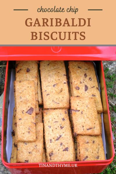 Garibaldi Biscuits With A Difference: AKA Squashed Flies | Tin and Thyme