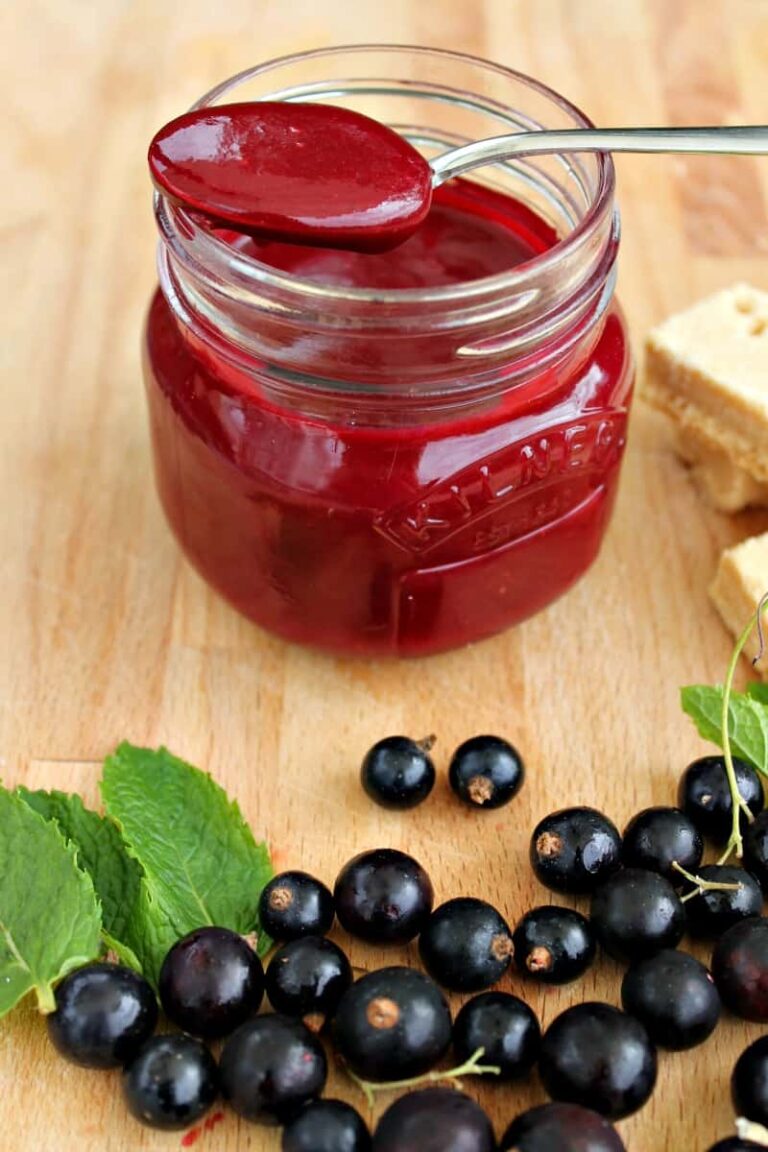All The Blackcurrant Recipes You Will Ever Need | Tin and Thyme