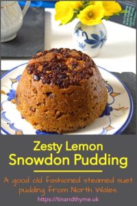 Snowdon Pudding: Take Your Dessert to Greater Heights | Tin and Thyme