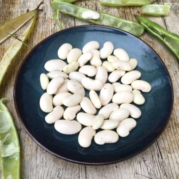 Creamy Tahini White Beans: Perfect With Crusty Bread | Tin and Thyme