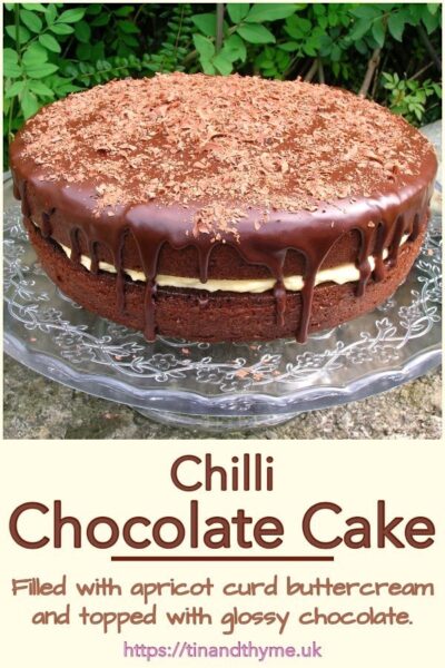Chilli Chocolate Cake with Apricot Curd Buttercream | Tin and Thyme