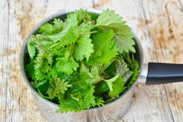Nettle Cakes with Lemon and White Chocolate | Tin and Thyme