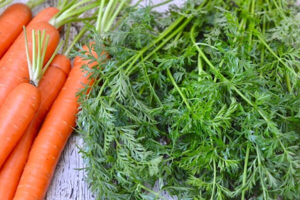 Carrot Top Pesto with Basil and Lemon | Tin and Thyme