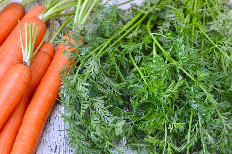 Carrot Top Pesto with Basil and Lemon | Tin and Thyme
