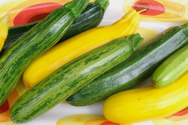 All The Courgette Recipes You Will Ever Need | Tin and Thyme