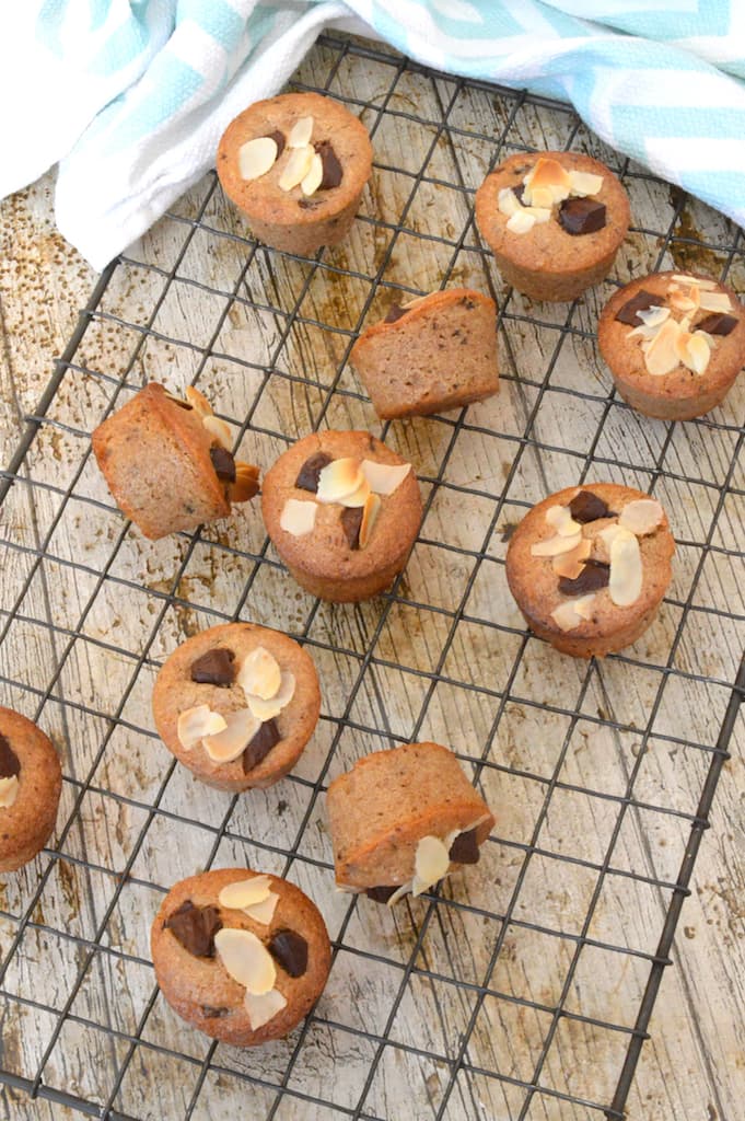 Vegan Friands: Cinnamon Choc Chip (Gluten-Free) | Tin and Thyme