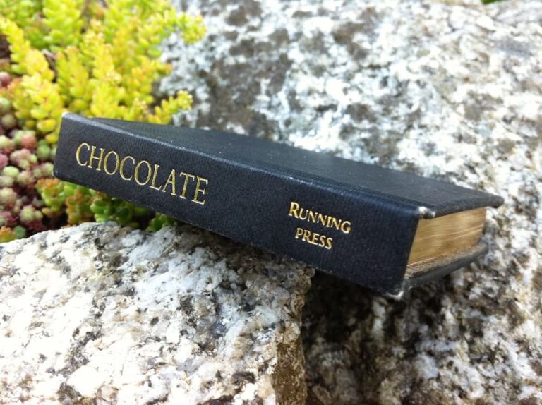 Chocolate Walnut Torte Squares | Tin and Thyme