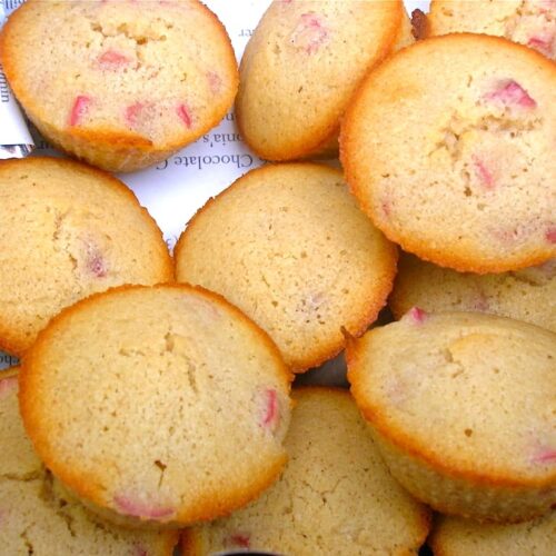Rhubarb Friands With White Chocolate | Tin and Thyme