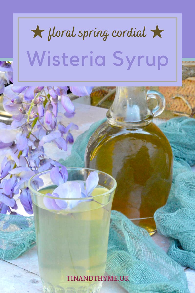 Wisteria Syrup: A Fragrant Floral Taste Of Spring | Tin and Thyme