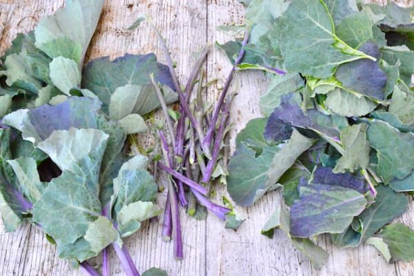 Crispy Kale In An Air Fryer | Tin and Thyme