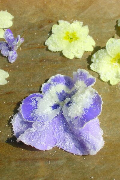 How To Crystallise Flowers | Tin and Thyme