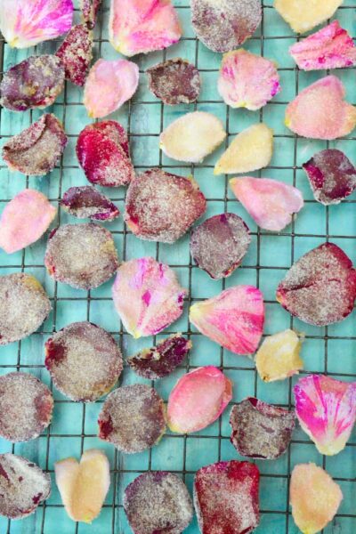 How To Crystallise Flowers | Tin and Thyme