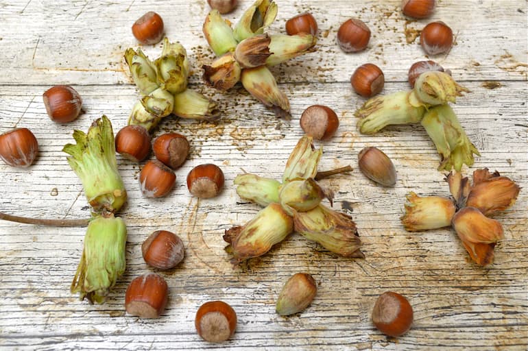Blackberry & Apple Spelt Pancakes with Brown Buttered Cobnuts | Tin and ...