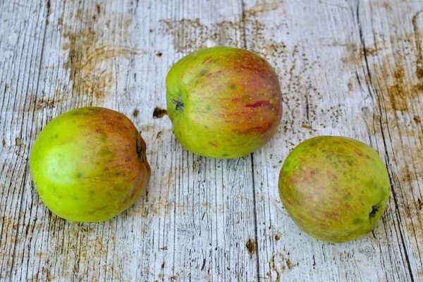 Apple And Thyme Cake | Tin and Thyme