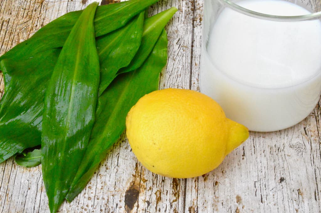 Creamy Wild Garlic Dressing | Tin and Thyme