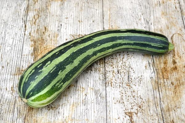 Courgette Couscous: A Quick And Easy Meal | Tin and Thyme