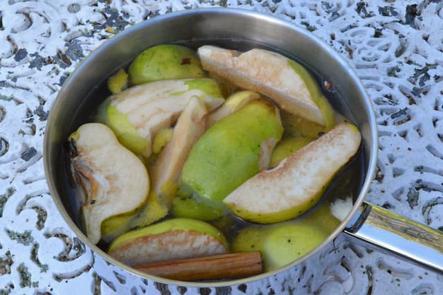 Quince Tart: An Aromatic Autumnal Delight | Tin and Thyme