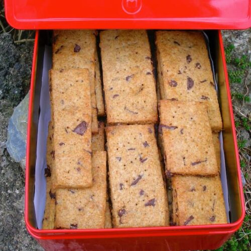 Garibaldi Biscuits With A Difference: AKA Squashed Flies | Tin and Thyme