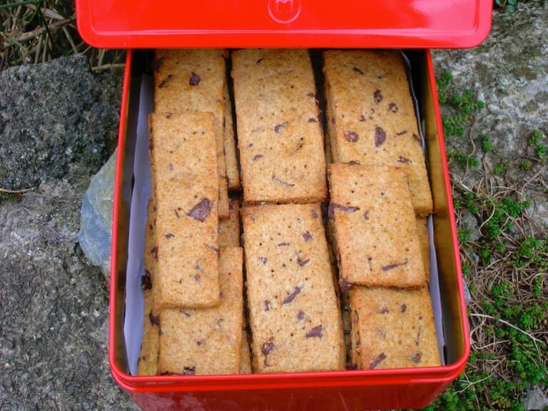 Garibaldi Biscuits With A Difference: AKA Squashed Flies | Tin and Thyme