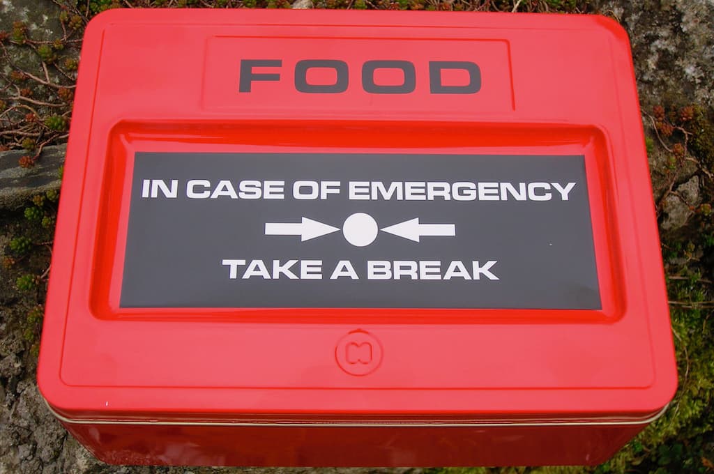 Garibaldi Biscuits With A Difference: AKA Squashed Flies | Tin and Thyme