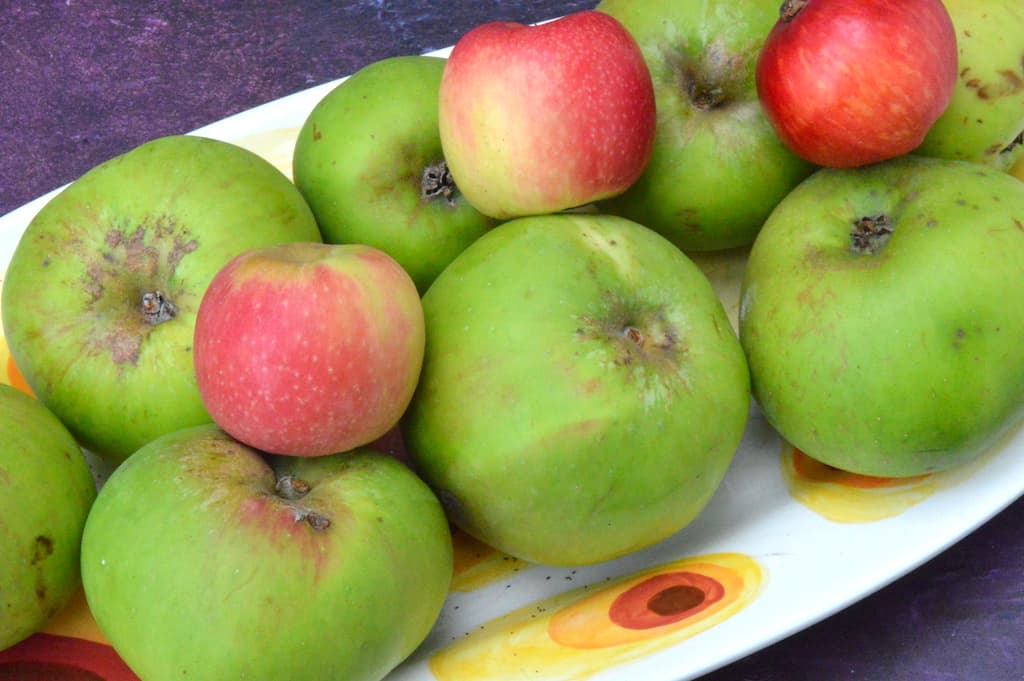 What's In Season In August, September And October | Tin and Thyme