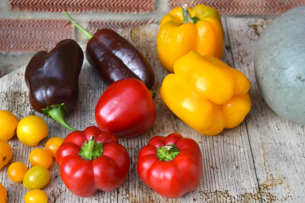 What's In Season In August, September And October | Tin and Thyme