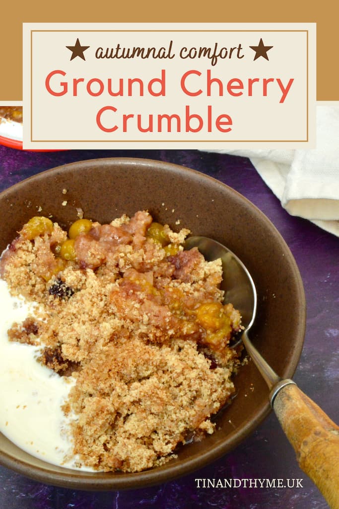 Ground Cherry Crumble | Tin and Thyme